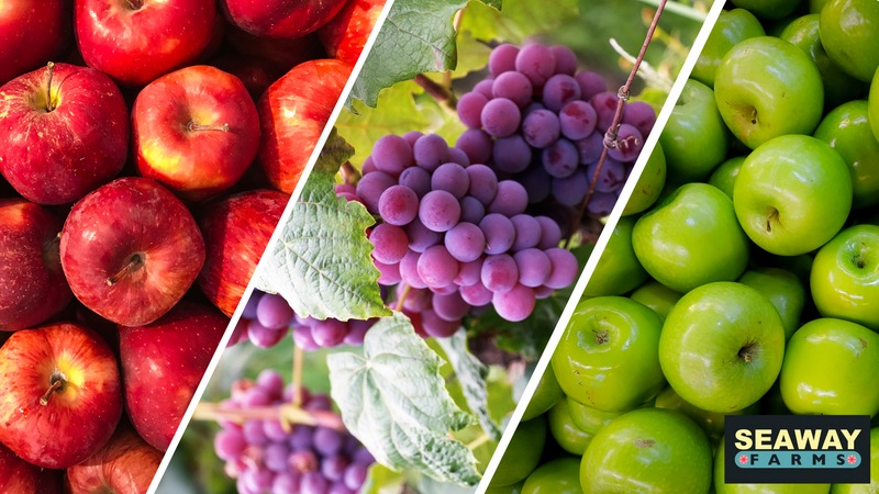 Seaway Gardens — Seaway Farms Niagara